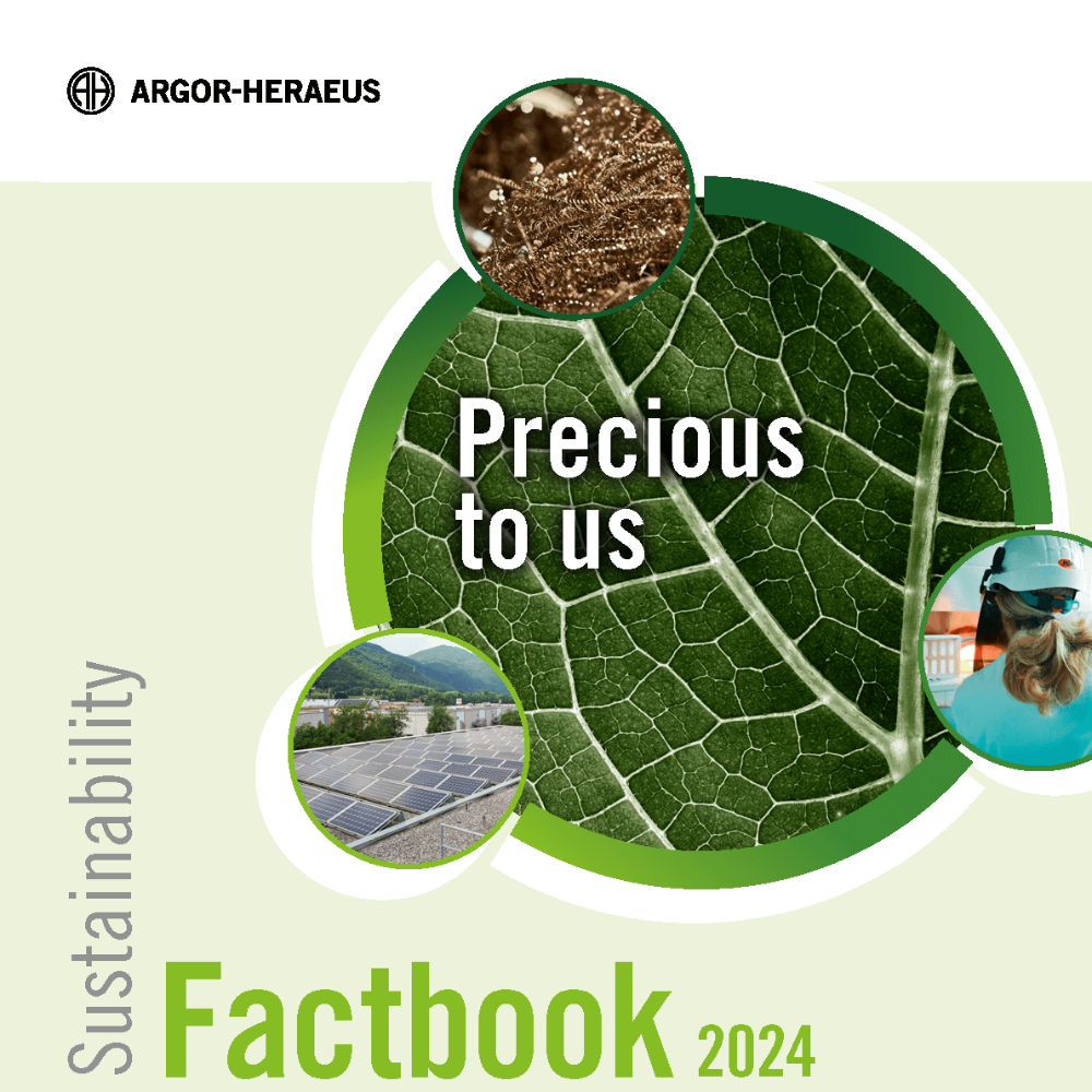 Factbook sulla sostenibilità 2024